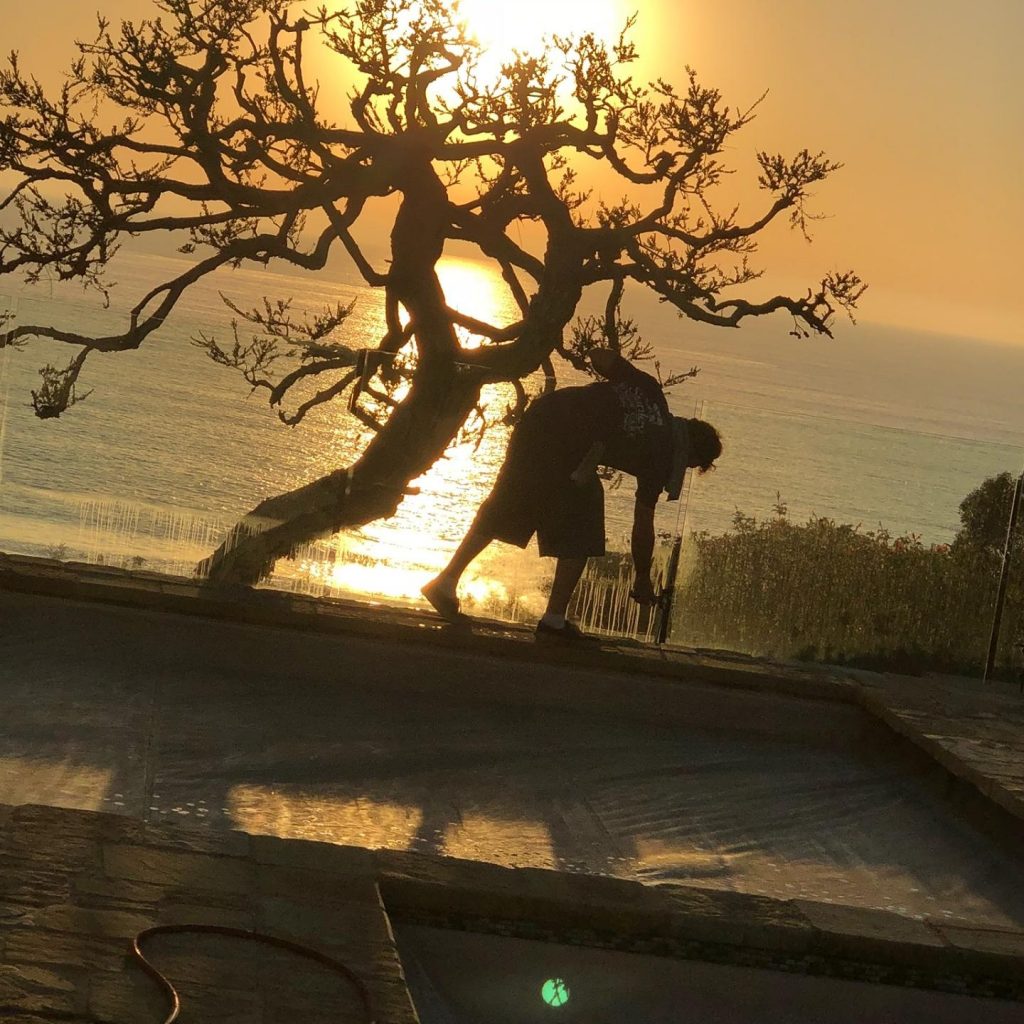 The Ultimate Guide to Crystal-Clear Windows