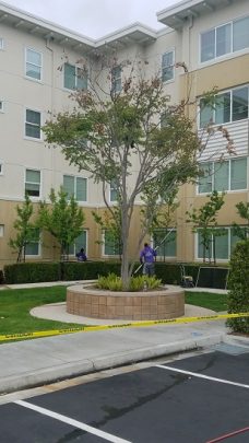 Introduction to Safe Second-Story Window Cleaning